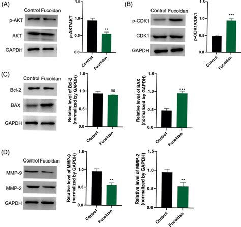 Corrigendum For Ann N Y Acad Sci 2020 1462 6578 2022 Annals Of The New York