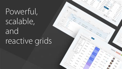 Outsystems Data Grid Web Overview O11 Outsystems