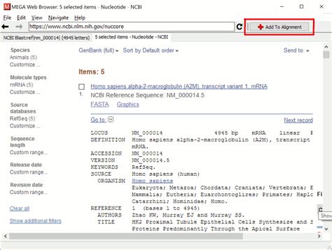 Web Browser And Data Miner
