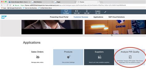 How To Add An Embedded Abap Webdynpro In Freestyle Sap Community