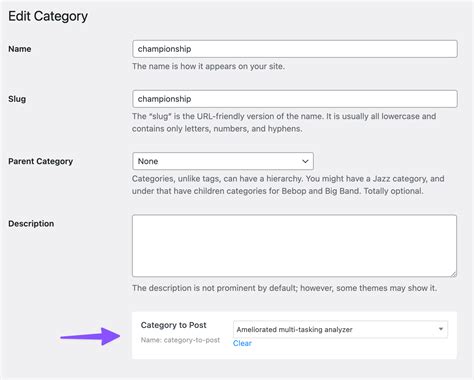 Displaying Related Post Content On A Category Archive Page In Bricks BricksLabs