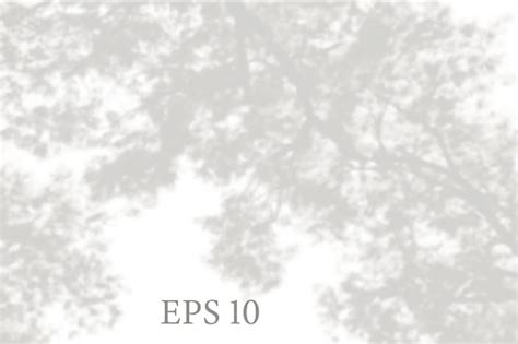 투명 천연 린든 나뭇가지 그림자 라이트 효과 오버레이 메시 그리드 디자인 카드 포스터 사진 사실적인 일러스트 를 발표 그림자에