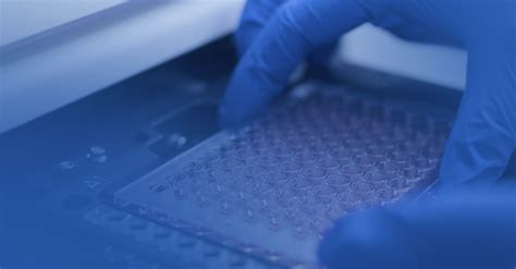 基因编辑方案设计及效率验证 Cro服务