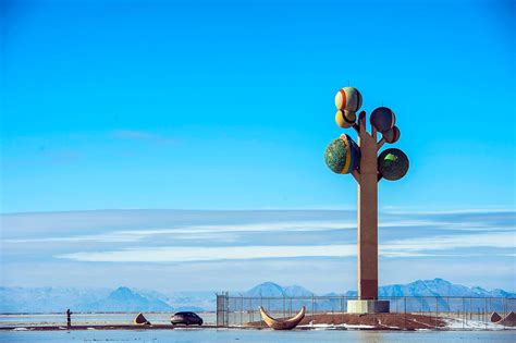 Artists Planned Museum Aims To Ensure Tree Of Utah Lives On The Salt Lake Tribune