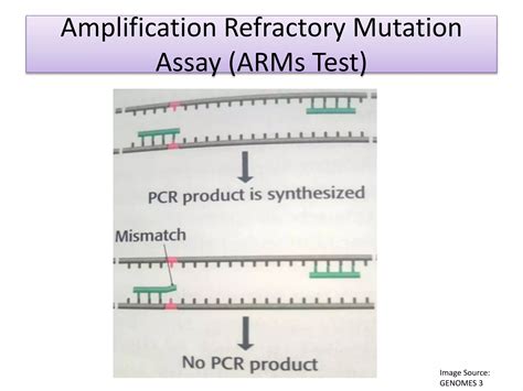 Gene Mapping Methods Pptx