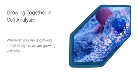 Chemical Analysis Life Sciences And Diagnostics Agilent Agilent Cell Analysis