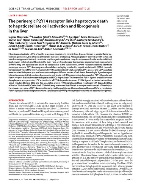 Stm2022 The Purinegic P2y14 Receptor Links Hepatocyte Death To Hsc