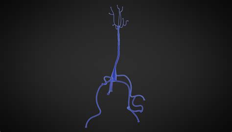 3d Neuron Cell Model Turbosquid 1288513