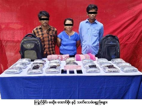 မိုးညှင်းမြို့နယ်တွင် ဘိန်းစိမ်းများ ဖမ်းဆီးရမိ Myanmarnationalpost