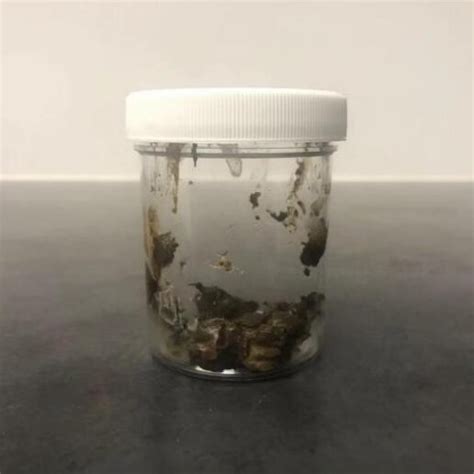 Supersaturated Solution Of Lanolin A Extraction At 70 ° C B