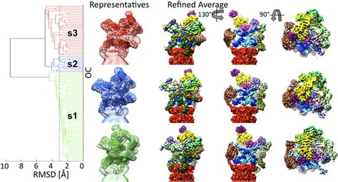 Hierarchical Classification Of Particles The Ocs Obtained By Focused Download Scientific