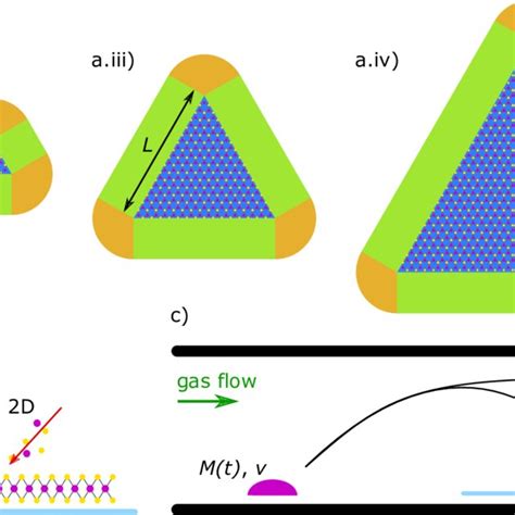 Illustration Of The Growth Related Factors For The Dynamic