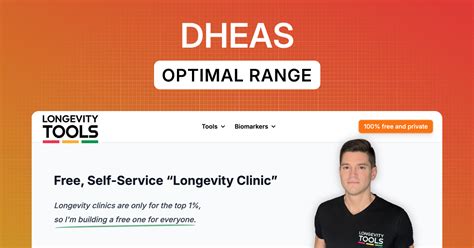 Dheas Optimal Levels For Health µmoll µgdl
