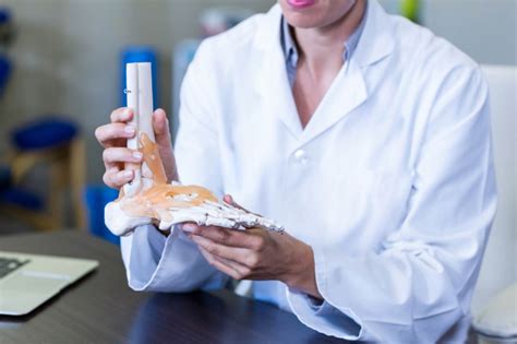 Boho Metatarsalgia Treatment The Foot Centre