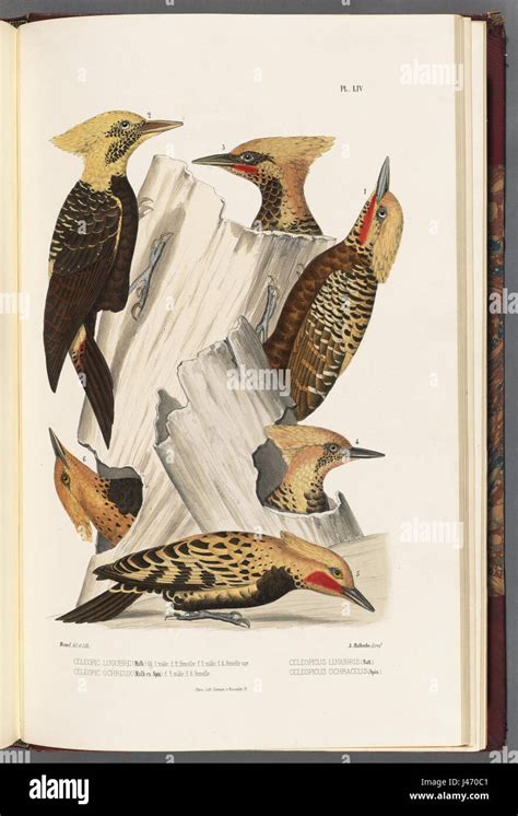 N124 W1150 Likely Refers To A Specific Reference Or Code Related To An Object Location Or