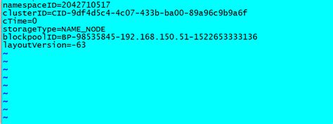 Hadoop集群datanode启动成功，jps中无datanode Csdn问答