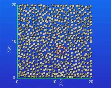 Required Practical 9 Sampling Organisms Part 1 Flashcards Quizlet