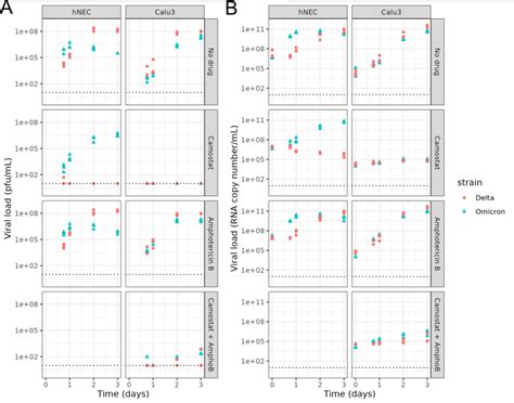 Summary Of Data A Infectious Viral Load Pfu Ml Quantified By Download Scientific Diagram