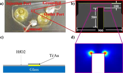 Figure 1 From Reaction Free Concentration Gradient Generation In