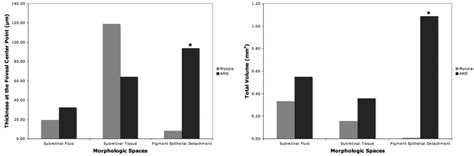 Quantitative Information Supplied By Octor Computer Assisted Optical