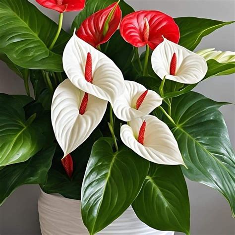 თბილისის ქართულ ამერიკული სკოლა • Georgian American School Of Tbilisi 35 წლიანი წარმატების