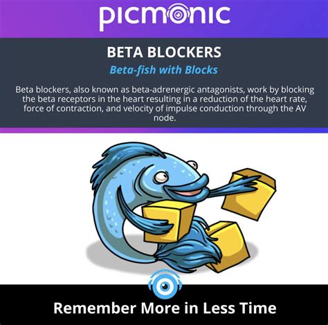 Beta Blockers Artofit