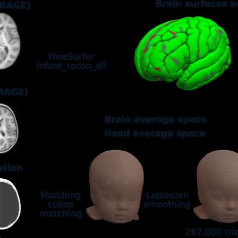 Example Of Source Reconstruction Using The 12 Month Template And