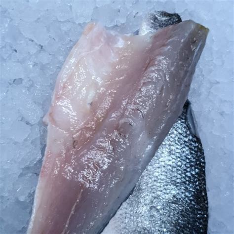1 Fresh Sea Bass Fillets Uk Delivery Fish Plaice