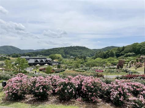 茨城縦貫幹線道路 道祖神峠トンネルの現地調査を実施しました 前茨城県会議員星田こうじ 公式サイト