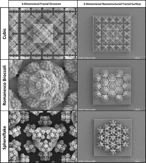 SEM Images Of Each Fractal Structure And Corresponding Surface Download Scientific Diagram