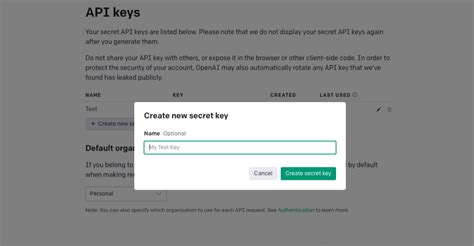 Openai Api Key Not Working Best Solution