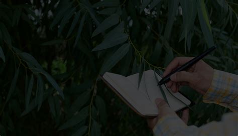 Tree Removal Services Near Me Tree Trimming And Removal