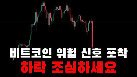 비트코인 위험 신호 포착 하락 조심하세요 Youtube