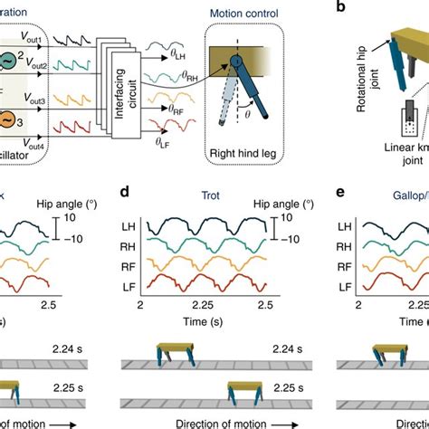 Central Pattern Generator Cpg Based Locomotion Control A Download Scientific Diagram