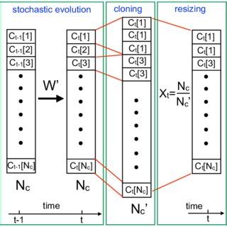 Sketch Of The Cloning Algorithm In Continuous Time During The