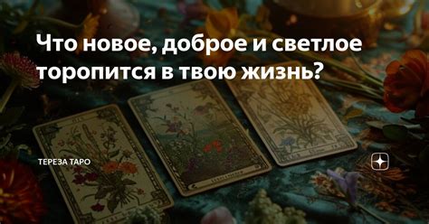 Что новое доброе и светлое торопится в твою жизнь Тереза Таро Дзен