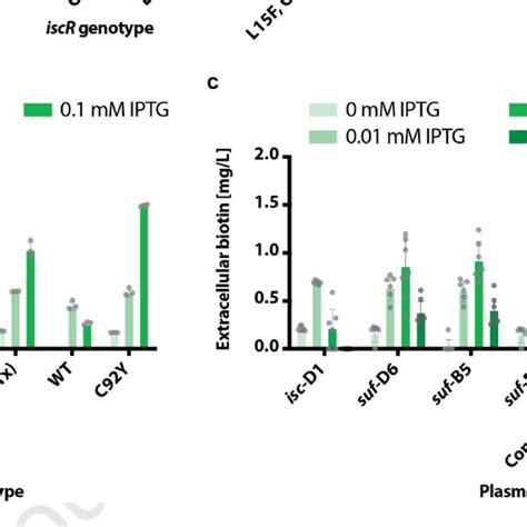 Fes Cluster Engineering In E Coli After Identifying Three Unique