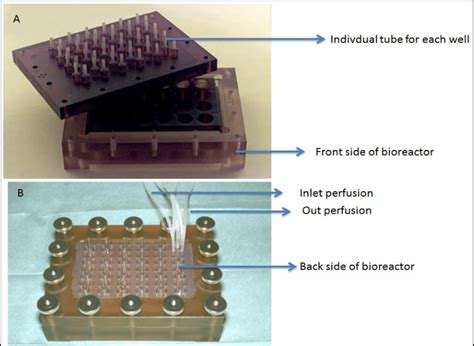 a and b scalable 24 well miniature perfusion bioreactor the miniature