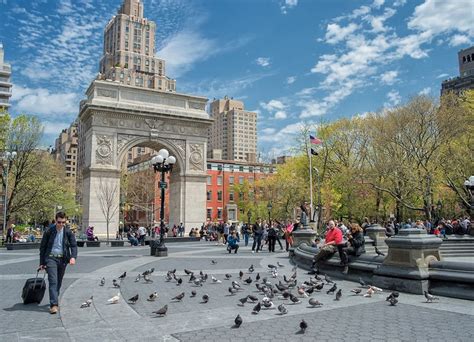 Bird Control Broadwaypestcontrol Bird Control Broadwaypestcontrol