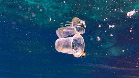 UK To Ban Single Use Plastic Products From October The Australian