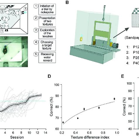 Self Initiated Whisker Dependent Texture Discrimination Task In Freely