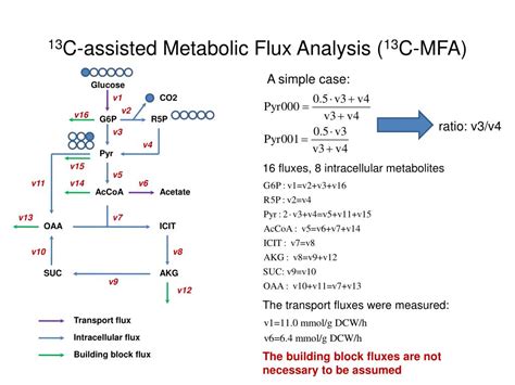 Ppt Metabolic Flux Analysis By Matlab Powerpoint Presentation Free Download Id3212222