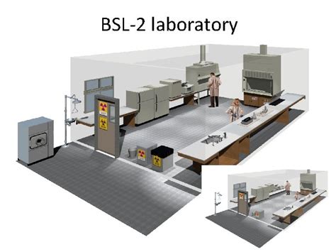 Biosafety Cabinet Bsc What You Need To Know