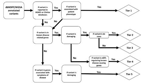 Overview Of The Variants Discovery Pipeline To Report Possible Download Scientific Diagram