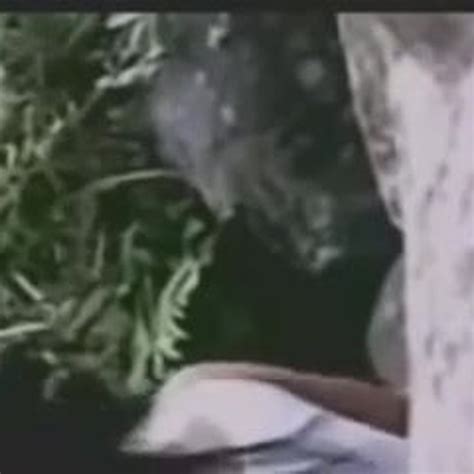 Ngentot Di Tepi Sungai Free Brutal Sex Porn 8e Xhamster Xhamster