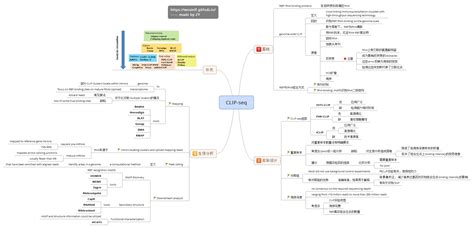 【文献】clip Seqandchip Seq分析流程