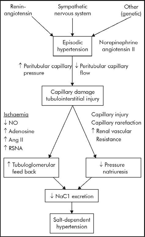Tooth Resorption Part I Pathogenesis And Case Series Of