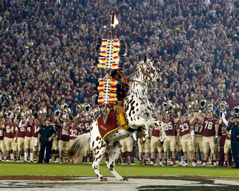 Fsu Football Wallpaper