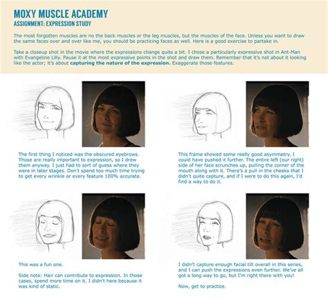 Assignment Expression Study By Moxydoxy On Deviantart