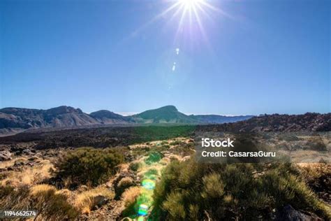태양 테네리페 카나리아 제도 스페인에 대한 센데로 드 몬타나 블랑카의 장엄한 수평 풍경 스톡 사진 사막에 대한 스톡 사진 및 기타 이미지 Istock